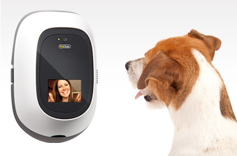 5 Digital Tech Trends Transforming The Pet Industry In 2016 - My Dog Is ...