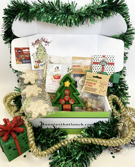 5 Best Subscription Boxes For Rabbits - My Dog Is A Robot